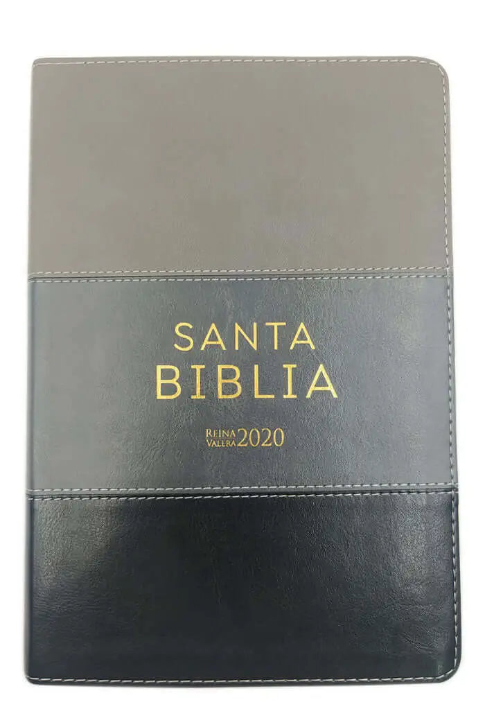 Reina Valera Bible 2020 manual size Large Print 12 points TriColor Gray Collection – Mundo Biblia